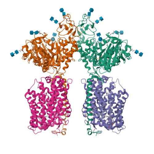 RCSB PDB - 6LID: Heteromeric amino acid transporter b0,+AT-rBAT complex