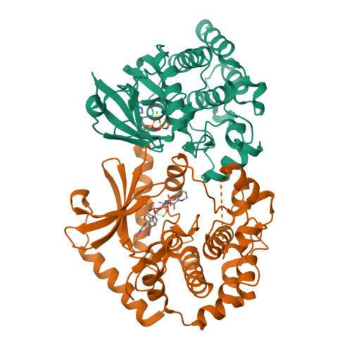 RCSB PDB - 7M0V: Crystal structure of the BRAF:MEK1 kinases in complex ...