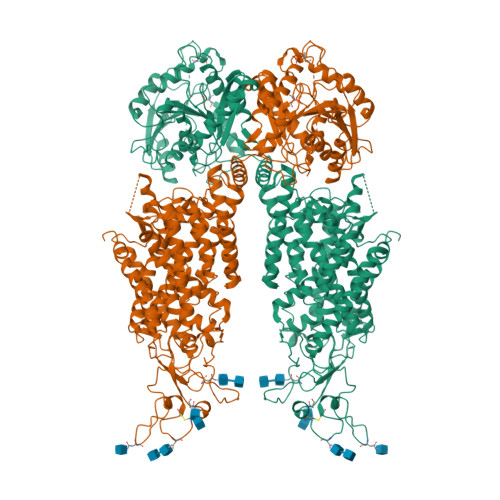 RCSB PDB - 6M23: Overall structure of KCC2