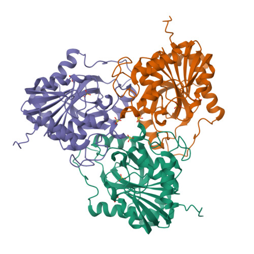 RCSB PDB - 1M73: CRYSTAL STRUCTURE OF HUMAN PNP AT 2.3A RESOLUTION