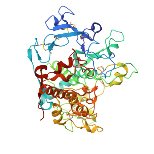 RCSB PDB - 5M8Q: Crystal structure of human tyrosinase related protein ...