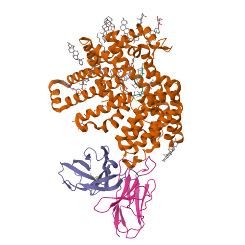 RCSB PDB - 7MHZ: Human Hedgehog acyltransferase (HHAT) in complex with ...