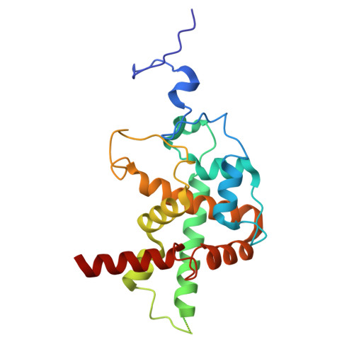 RCSB PDB - 5MRC: Structure of the yeast mitochondrial ribosome - Class A