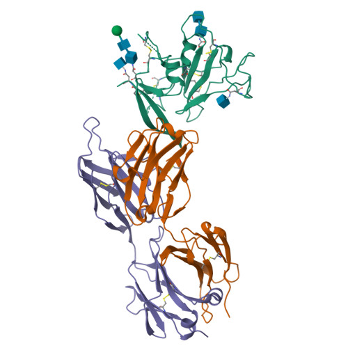 RCSB PDB - 7MWW: Structure of hepatitis C virus envelope full-length ...