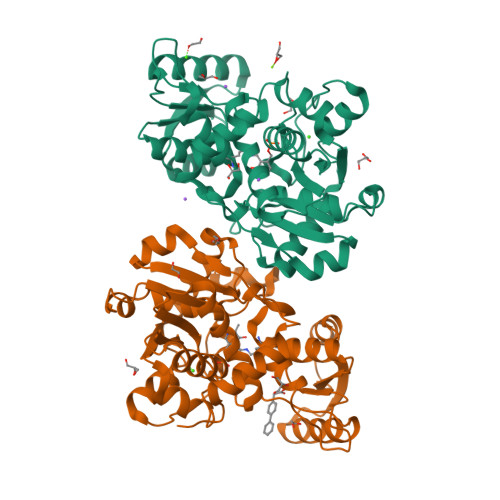 RCSB PDB - 7NBC: Crystal structure of human serine racemase in complex ...