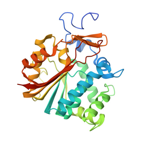 RCSB PDB - 7NBJ: Co-crystal structure of Human Nicotinamide N ...