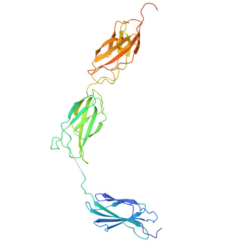 RCSB PDB - 7NE1: Structure of the complex between Netrin-1 and its ...