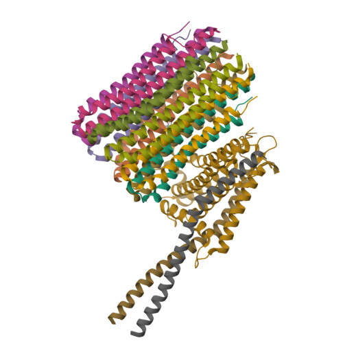 RCSB PDB - 7NJV: Mycobacterium smegmatis ATP synthase Fo combined class 2
