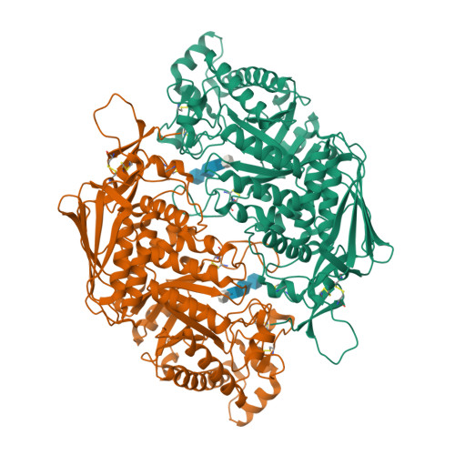 RCSB PDB - 3NSN: Crystal Structure of insect beta-N-acetyl-D ...