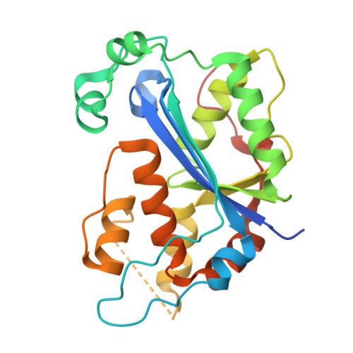 RCSB PDB - 2O4I: Structure of TREX1 in complex with DNA