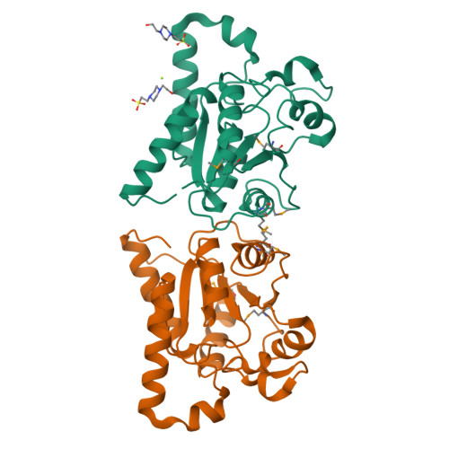 RCSB PDB - 2ODA: Crystal Structure of PSPTO_2114