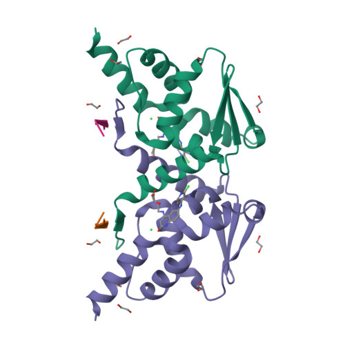 RCSB PDB - 7OKH: Crystal structure of human BCL6 BTB domain in complex ...