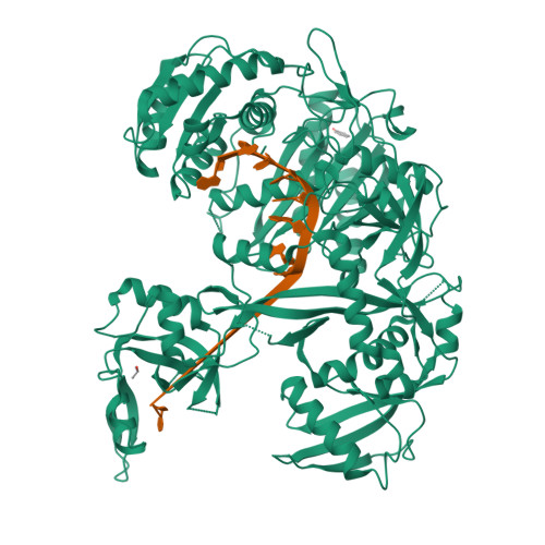 RCSB PDB - 4OLA: Crystal Structure of Human Argonaute2