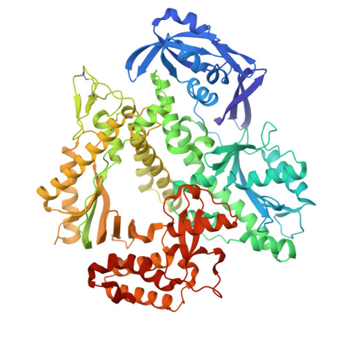 RCSB PDB - 5OMF: Closed, ternary structure of KOD DNA polymerase