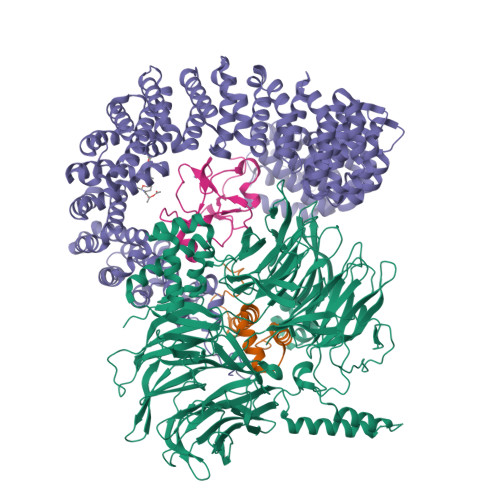 RCSB PDB - 7OPI: Structure of a minimal SF3B core in complex with the ...