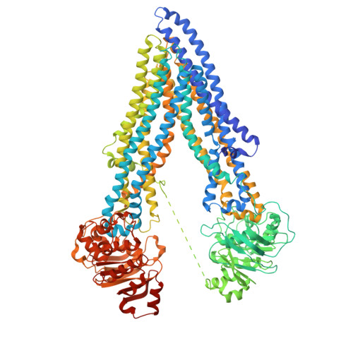 RCSB PDB - 7OTI: Structure of ABCB1/P-glycoprotein in apo state