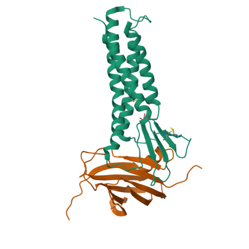 RCSB PDB - 6OV2: Crystal structure of human claudin-9 in complex with ...