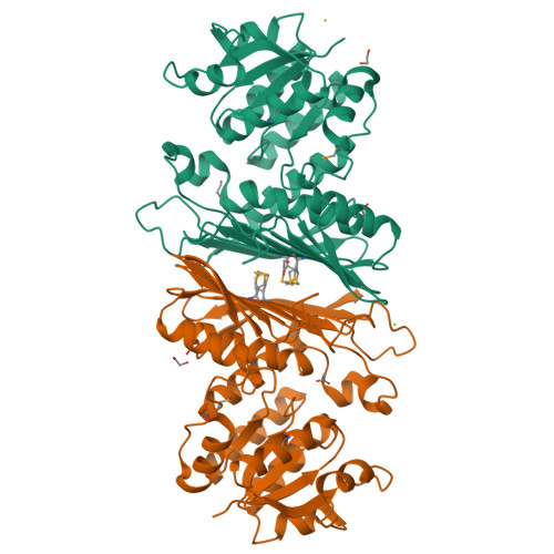 RCSB PDB - 2P2S: Crystal structure of putative oxidoreductase (YP ...