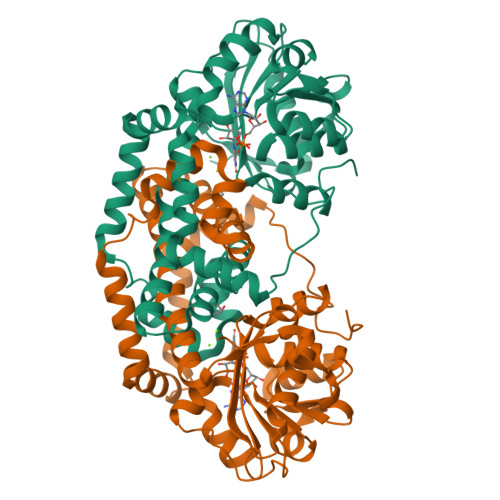 RCSB PDB: Homepage