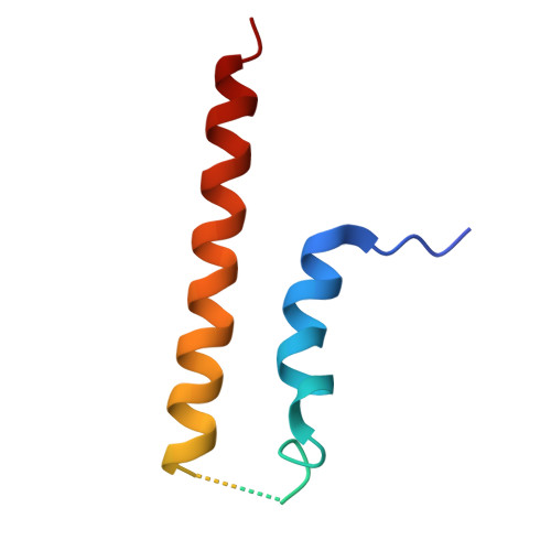 RCSB PDB - 6PEP: Focussed refinement of InvGN0N1:SpaPQR:PrgIJ from the ...