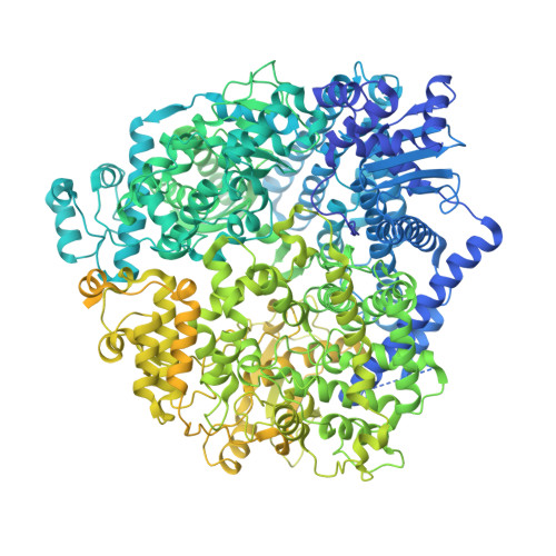 Rcsb Pdb 6pzk Cryo Em Structure Of The Respiratory Syncytial Virus Polymerase L Protein