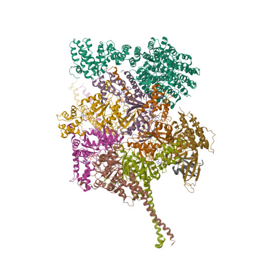 RCSB PDB - 7QO4: 26S proteasome WT-Ubp6-UbVS complex in the si state ...