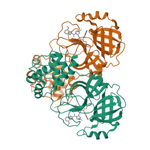 RCSB PDB - 7RFR: Structure of SARS-CoV-2 main protease in complex with ...