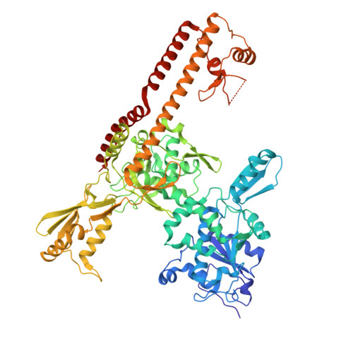 RCSB PDB - 2RGR: Topoisomerase IIA bound to G-segment DNA