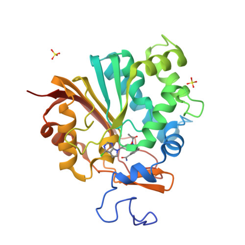 RCSB PDB - 7RKL: Structure of Nicotinamide N-Methyltransferase (NNMT ...