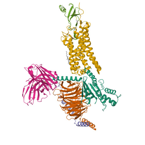 RCSB PDB - 7RKM: Structure of CX3CL1-US28-Gi-scFv16 in C-state