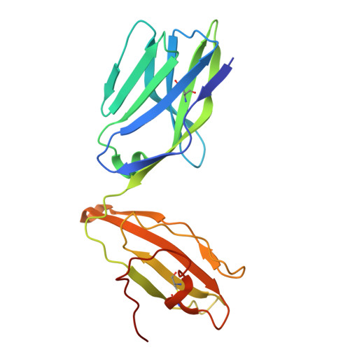 RCSB PDB - 7RM4: Neoantigen p53R175H-specific TCR 6-11 binds to ...