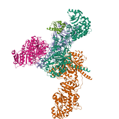 RCSB PDB - 7S6B: Crystal structure of modular polyketide synthase apo ...