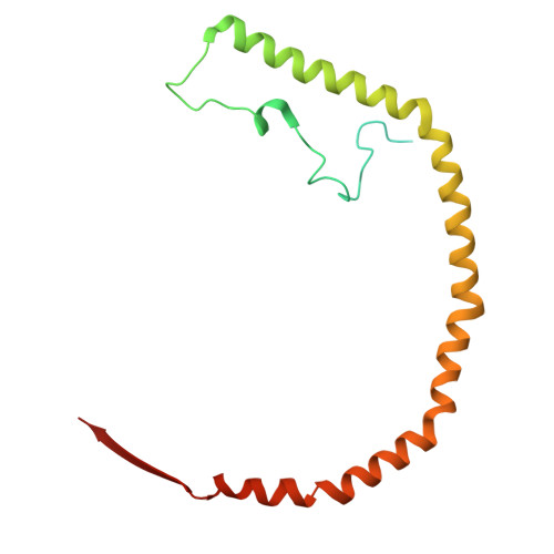 RCSB PDB - 7SC0: CryoEM structure of the Caveolin-1 8S complex