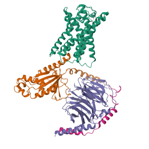 RCSB PDB - 7SF8: GPR56 (ADGRG1) 7TM domain bound to tethered agonist in ...