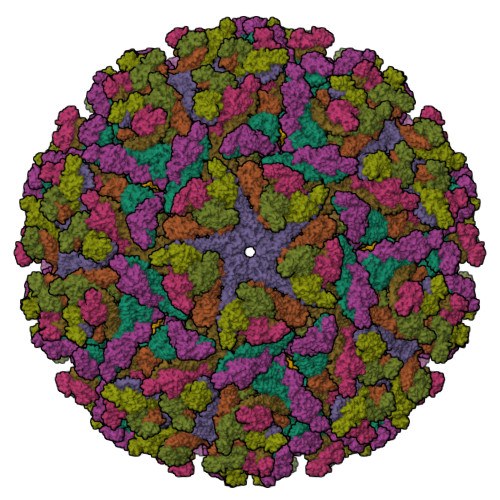 RCSB PDB - 7SFU: CryoEM structure of Venezuelan Equine Encephalitis ...