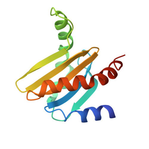 RCSB PDB - 7T3B: GATOR1-RAG-RAGULATOR - GAP Complex