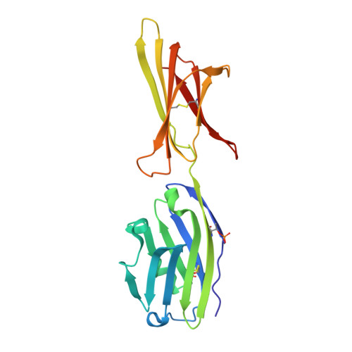 RCSB PDB - 7TPS: Crystal structure of ALPN-202 (engineered CD80 vIgD ...