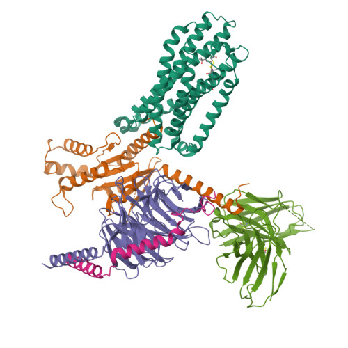 RCSB PDB - 7TUZ: Cryo-EM structure of 7alpha,25-dihydroxycholesterol ...
