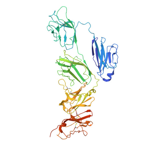 RCSB PDB - 6UEA: Structure of pentameric sIgA complex