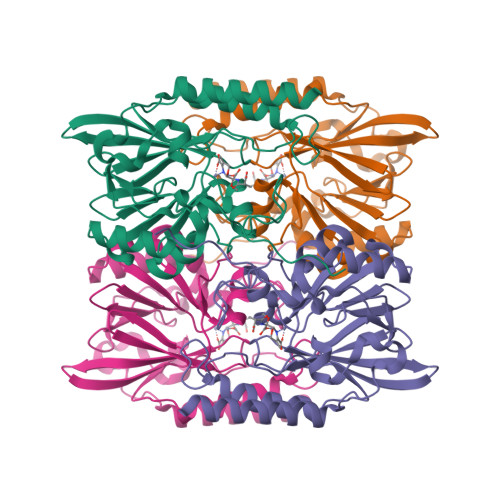 RCSB PDB - 7UHO: Time-Resolved Structure of Metallo Beta-Lactamase L1 ...