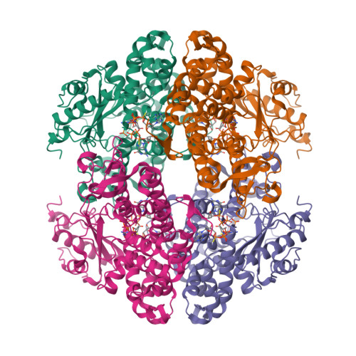 PDB 7UJN | Chain STRUCTURE OF HUMAN SAMHD1 WITH NON-HYDROLYSABLE DGTP ...