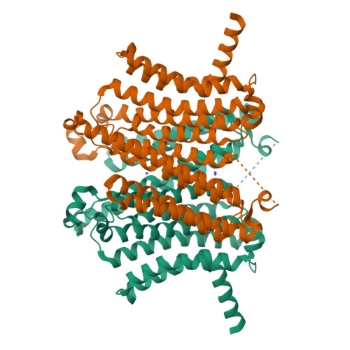 RCSB PDB - 7UNM: Human TMEM175 in an closed state