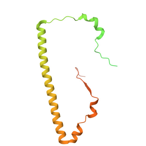 RCSB PDB - 4V1A: Structure of the large subunit of the mammalian ...