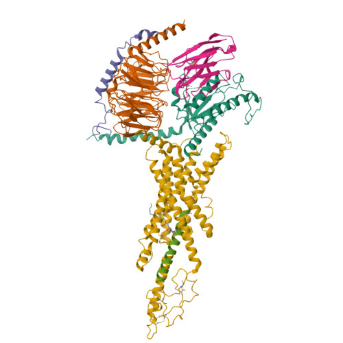 RCSB PDB - 7V35: Cryo-EM structure of the GIPR/GLP-1R/GCGR triagonist ...
