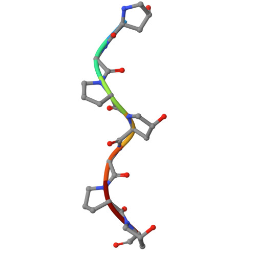 RCSB PDB - 1V4F: Crystal structures of collagen model peptides with pro ...