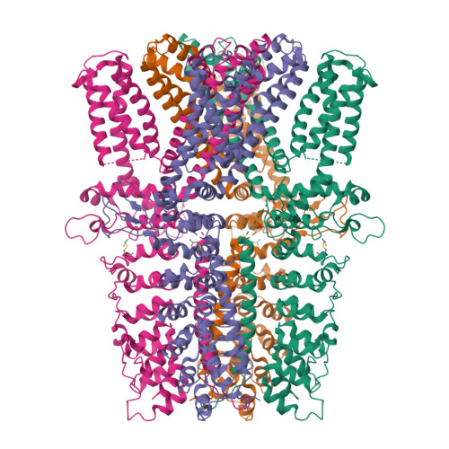 RCSB PDB - 6V9X: Structure of TRPA1 modified by iodoacetamide, PMAL-C8