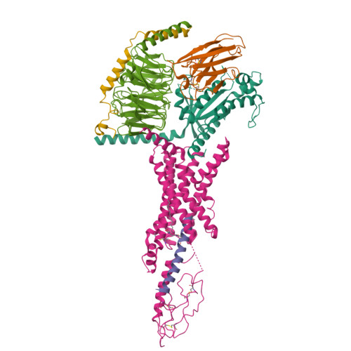 RCSB PDB - 7VBH: Cryo-EM structure of the GIPR/GLP-1R/GCGR triagonist ...