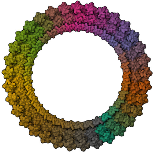 Gene P57764 | Protein GSDMD - Overview | canSAR.ai