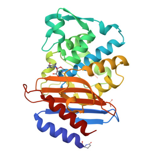 RCSB PDB - 6VHS: Crystal structure of CTX-M-14 in complex with beta ...