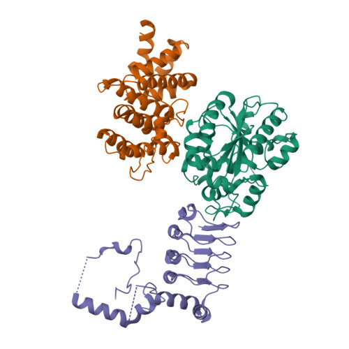RCSB PDB - 7VOI: Structure of the human CNOT1(MIF4G)-CNOT6L-CNOT7 complex